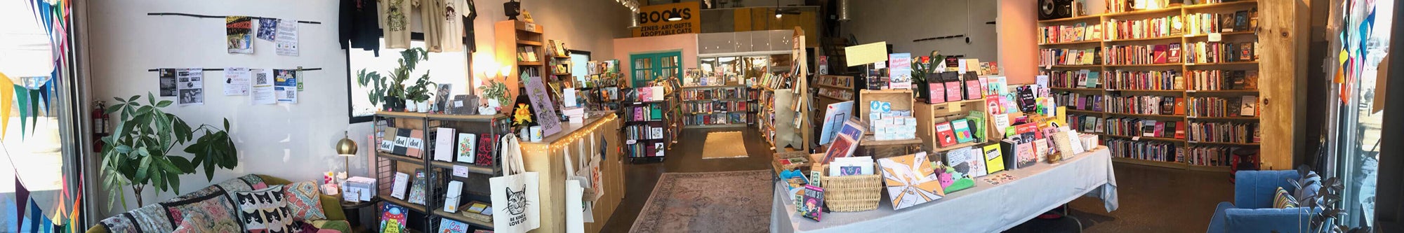 Welcome to The Radical Cat!